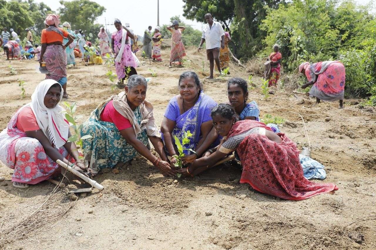 Pledge to plant 3 million trees by Grow-Trees.com - Retropoplifestyle